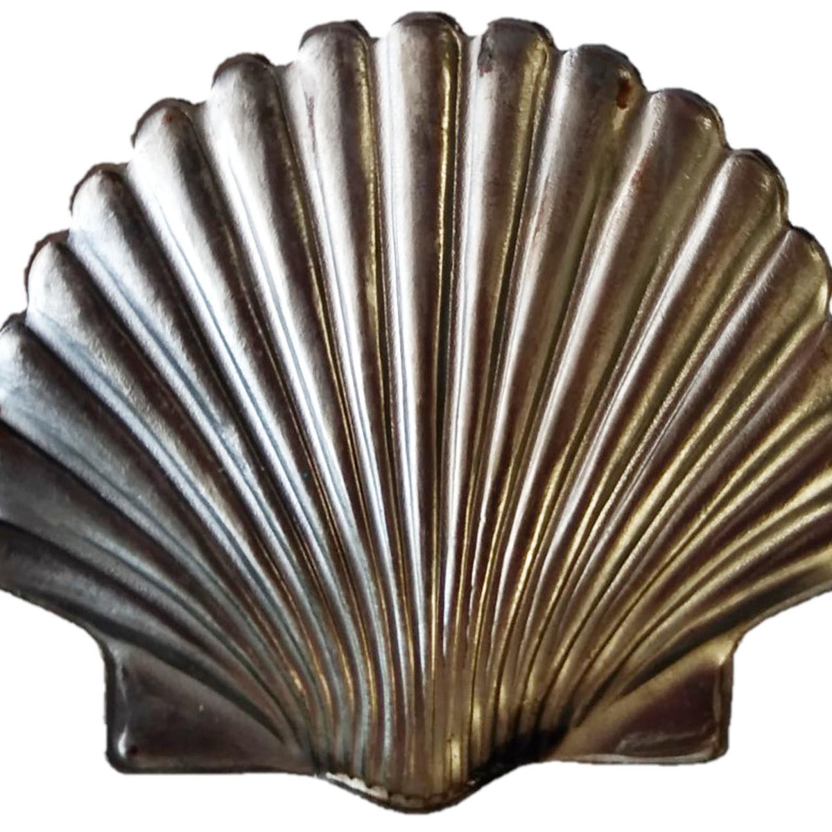 Metal Stamping Pressed Stamped Steel Seashell .020" Thickness SE45 ...